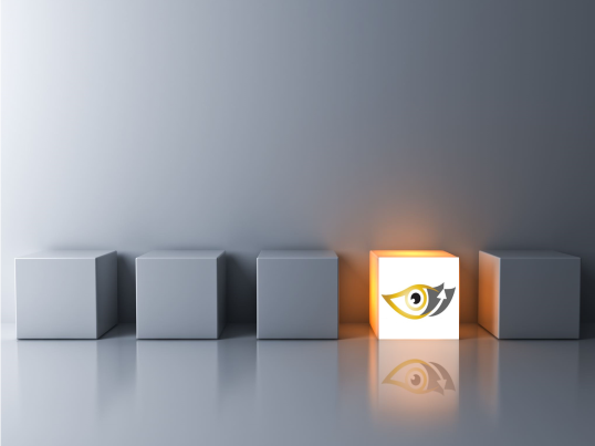 Eager Eye Advisory - Economic Policy Advice & Research